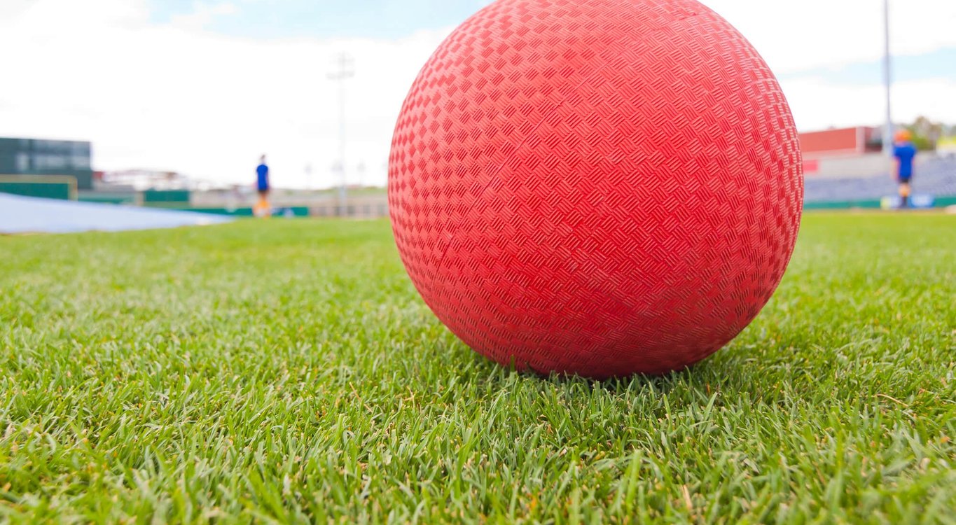 International Bat Appreciation Day (April 17th) | Days Of The Year