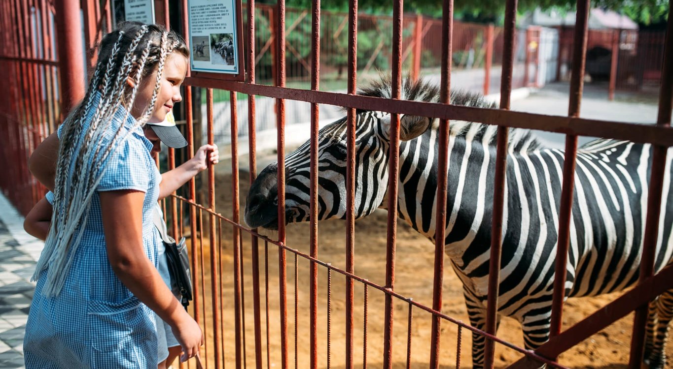National Trail Mix Day (August 31st) | Days Of The Year