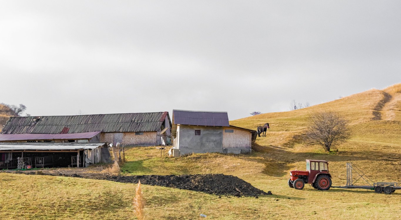 National Holidays on May 19th, 2024 | Days Of The Year