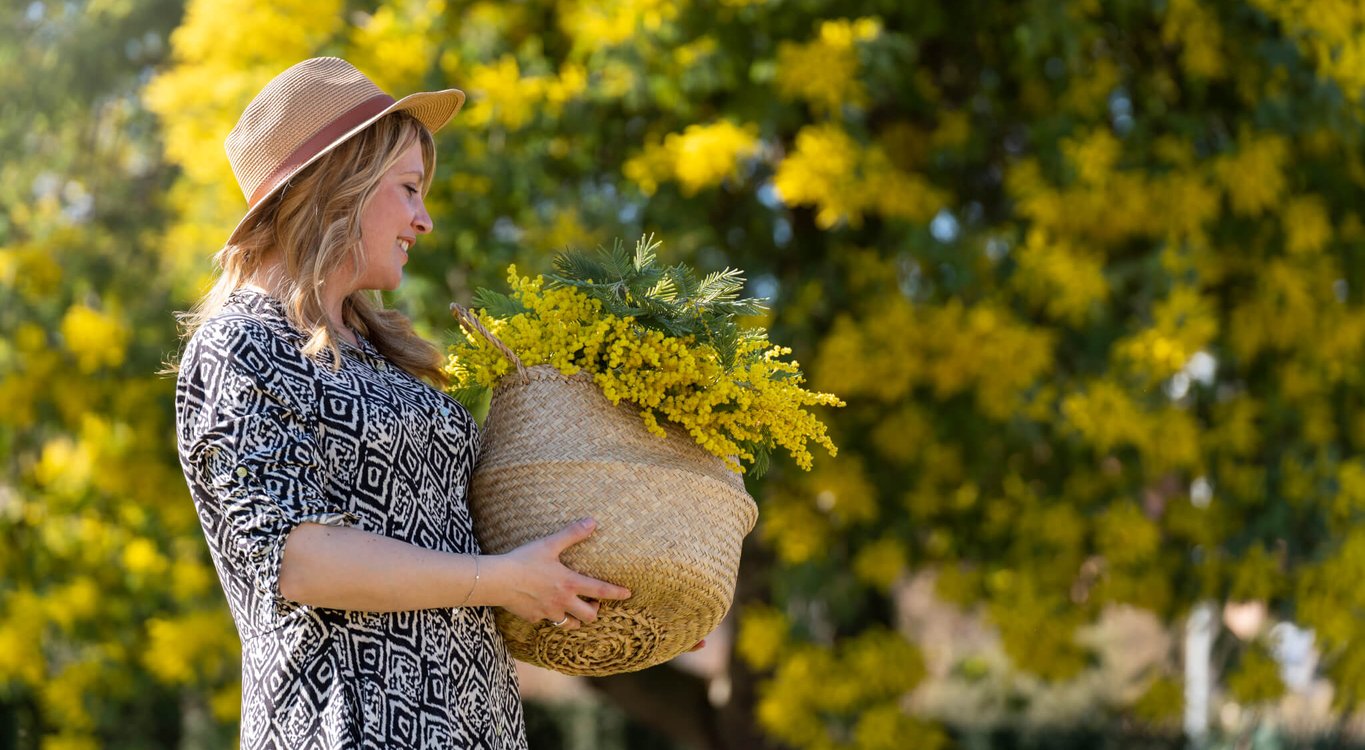 National Carnation Day (January 29th) | Days Of The Year