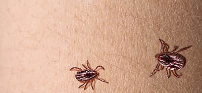 National Look Up at the Sky Day (April 14th) | Days Of The Year