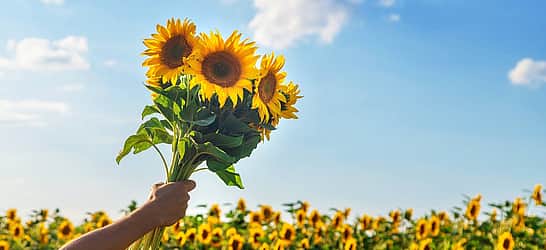 National Hop-A-Park Day (July 6th, 2024) | Days Of The Year