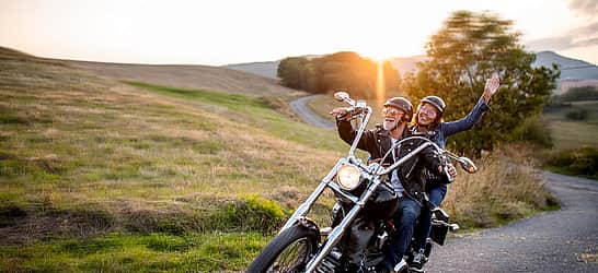 International African Penguin Awareness Day (October 12th, 2024) | Days ...