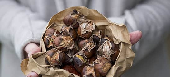 National Peanut Day (September 13th) | Days Of The Year