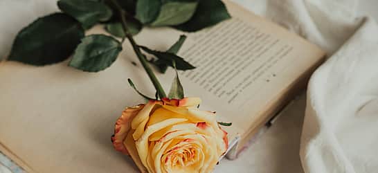 International Haiku Poetry Day (April 17th) | Days Of The Year