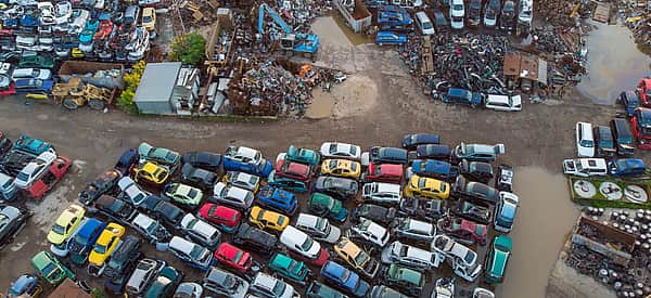 National American Eagle Day (June 20th) | Days Of The Year