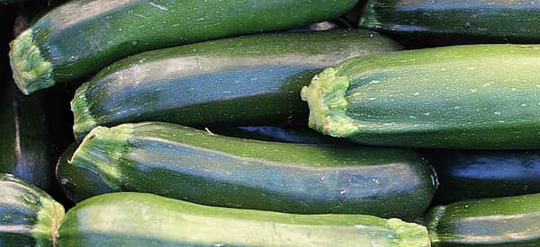 National Happiness Happens Day (August 8th) | Days Of The Year