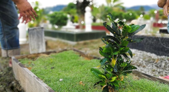 Memorial Day (May 26th, 2025) | Days Of The Year