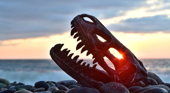 International Children's Day (June 1st) | Days Of The Year