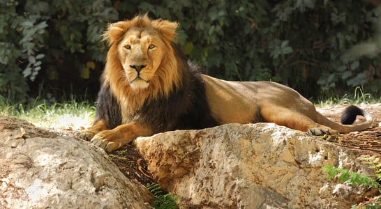 National Equal Pay Day (April 8th, 2025) | Days Of The Year