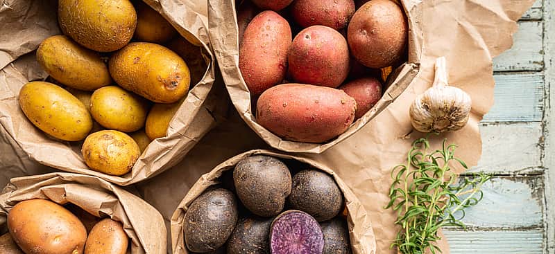 Loomis Day (May 30th) | Days Of The Year