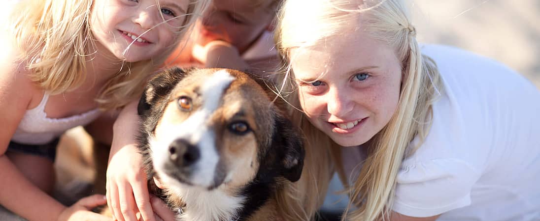 National Best Friends Day (June 8th) | Days Of The Year