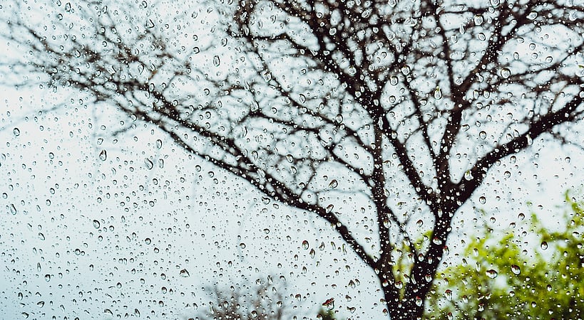 National Jelly Bean Day (April 22nd) | Days Of The Year