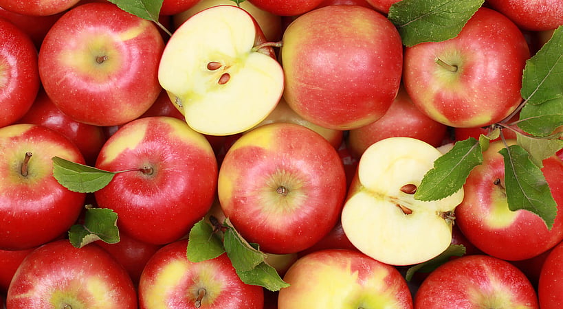 National Apple Day (October 21st) | Days Of The Year