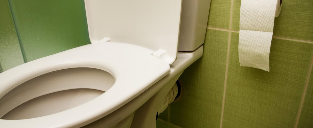 World Toilet Day (November 19th) | Days Of The Year