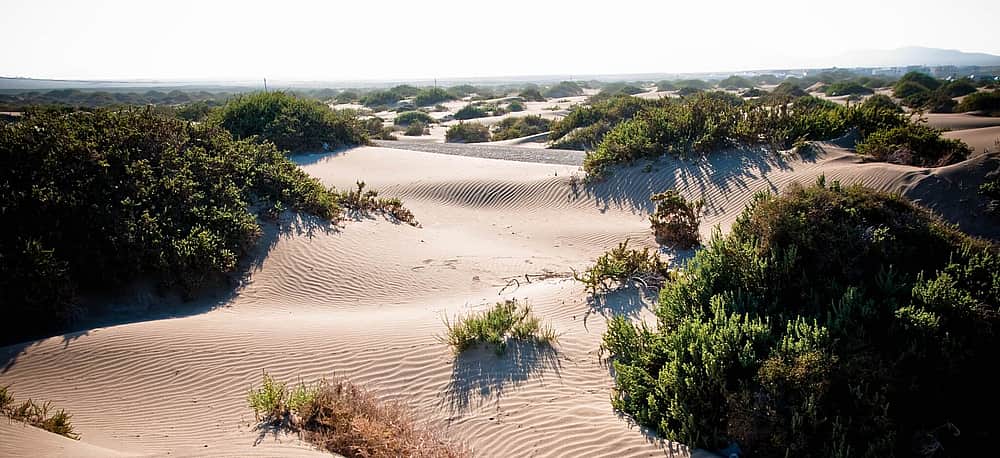 Hug Holiday (June 29th) | Days Of The Year