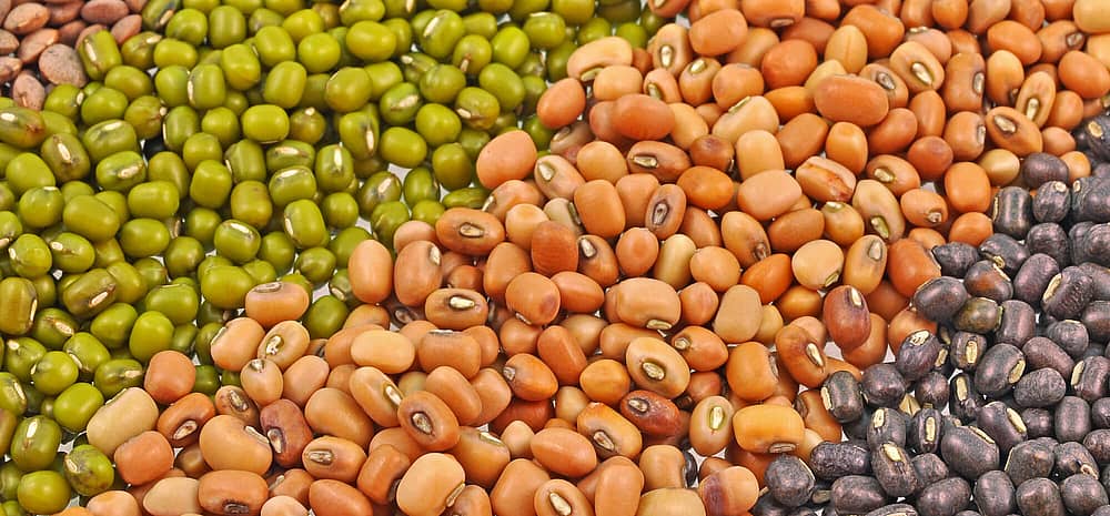 International Year of Pulses (2016) – Days Of The Year