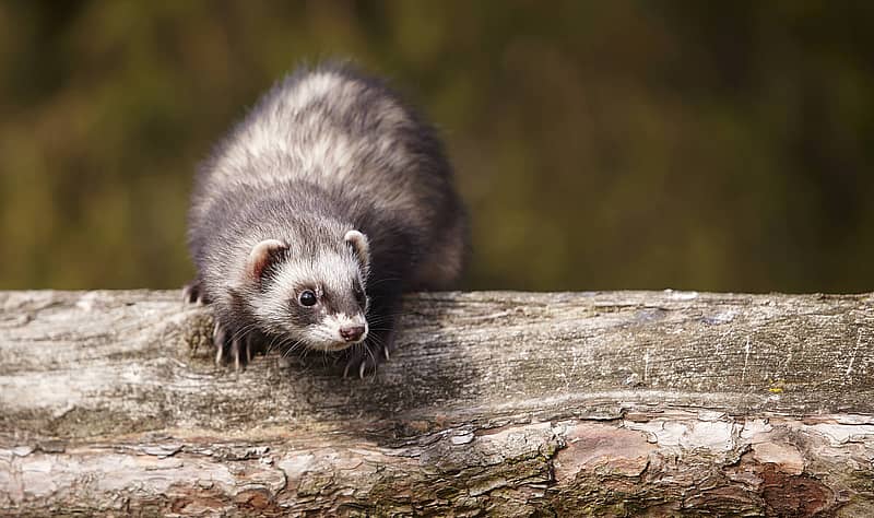 National Days on April 28th, 2022 – Days Of The Year