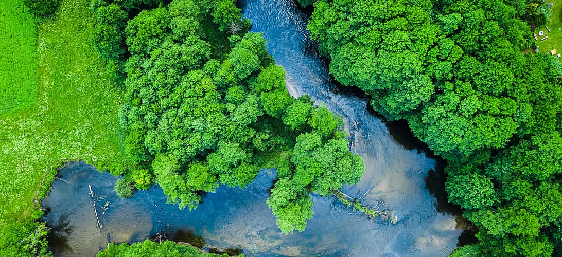 White Day (March 14th) | Days Of The Year