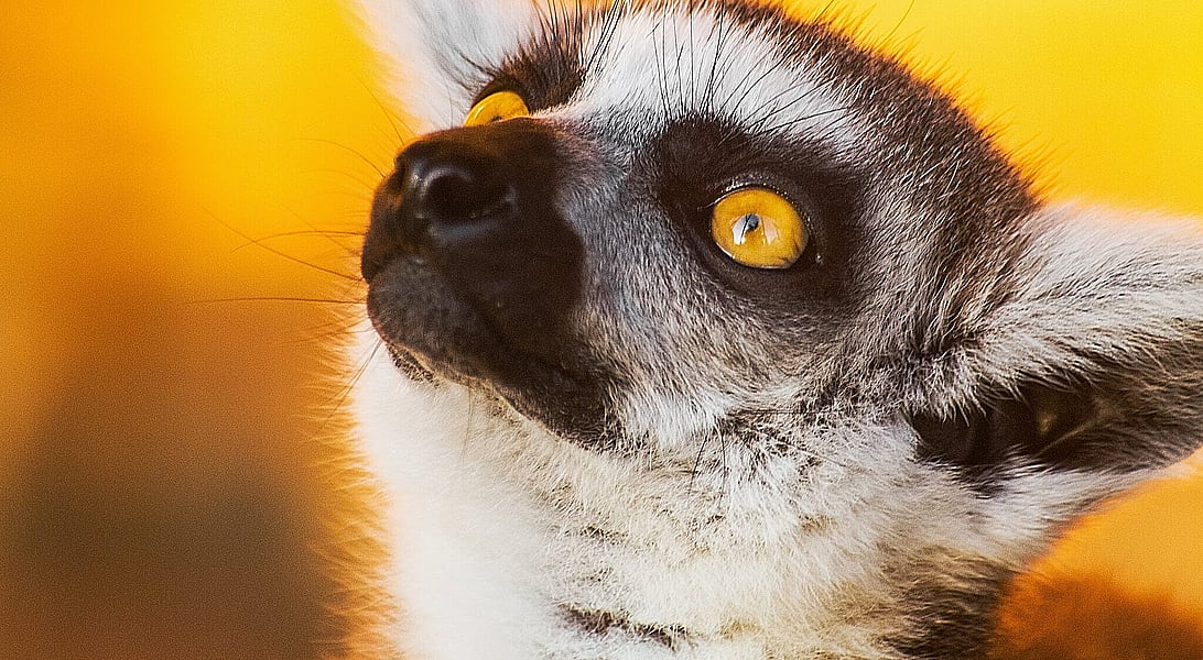 National Holidays on October 25th, 2024 | Days Of The Year