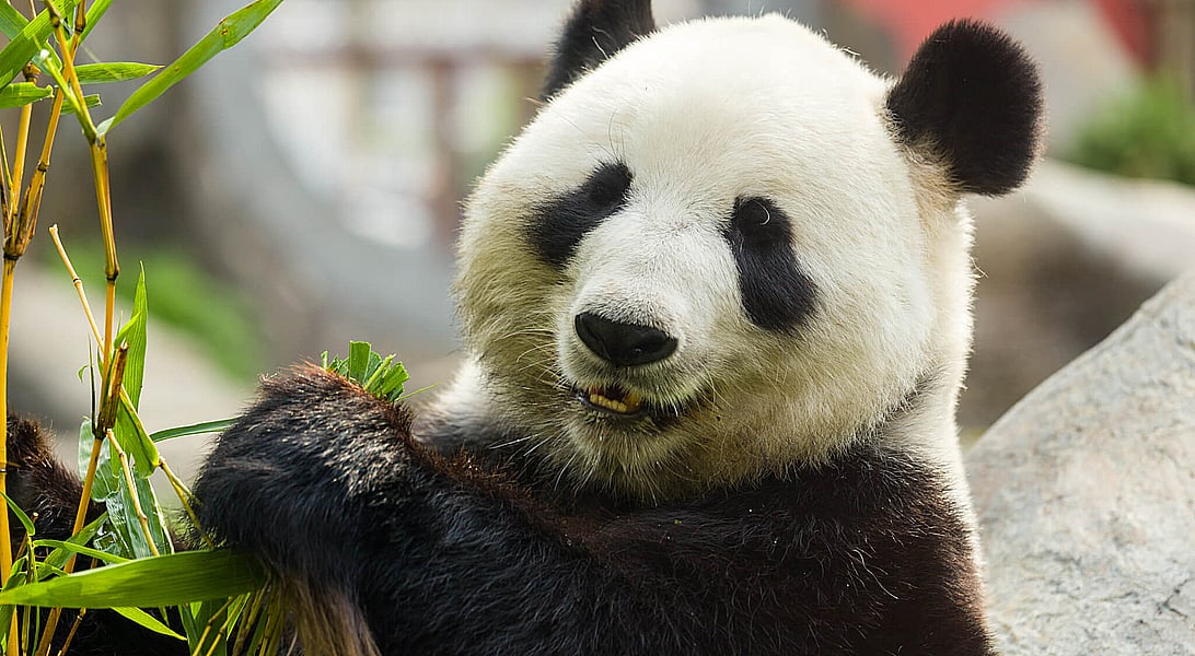 National Holidays on March 16th, 2024 | Days Of The Year