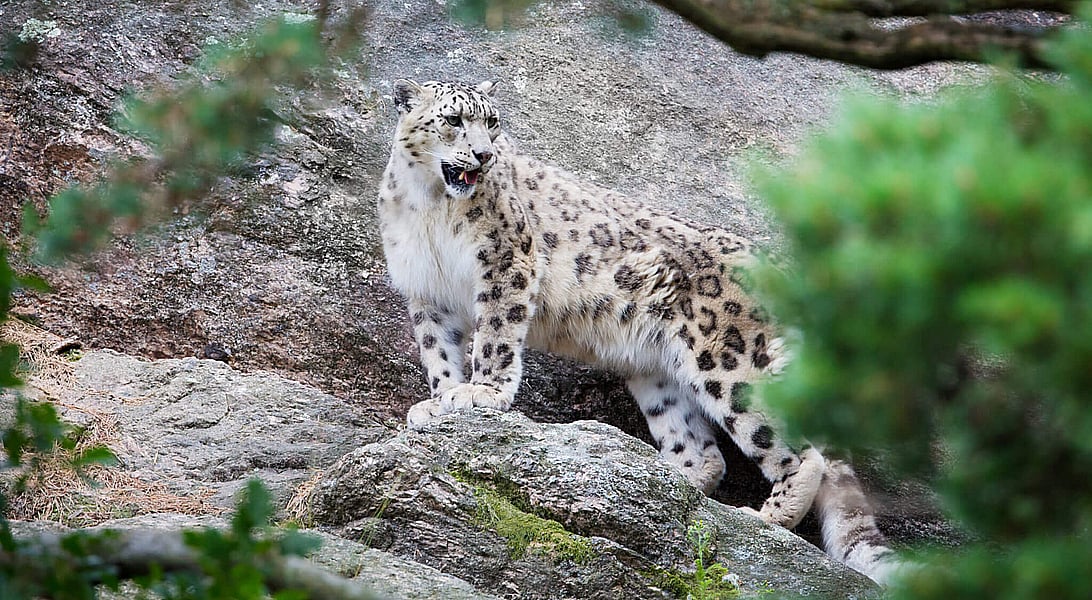 National iPod Day (October 23rd) | Days Of The Year