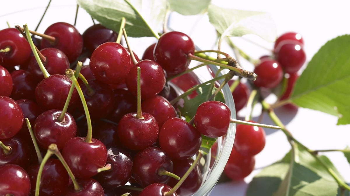 National Cherry Month (February 2025) | Days Of The Year