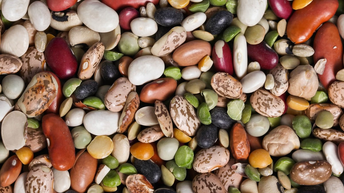 National Eat Your Beans Day (July 3rd) | Days Of The Year