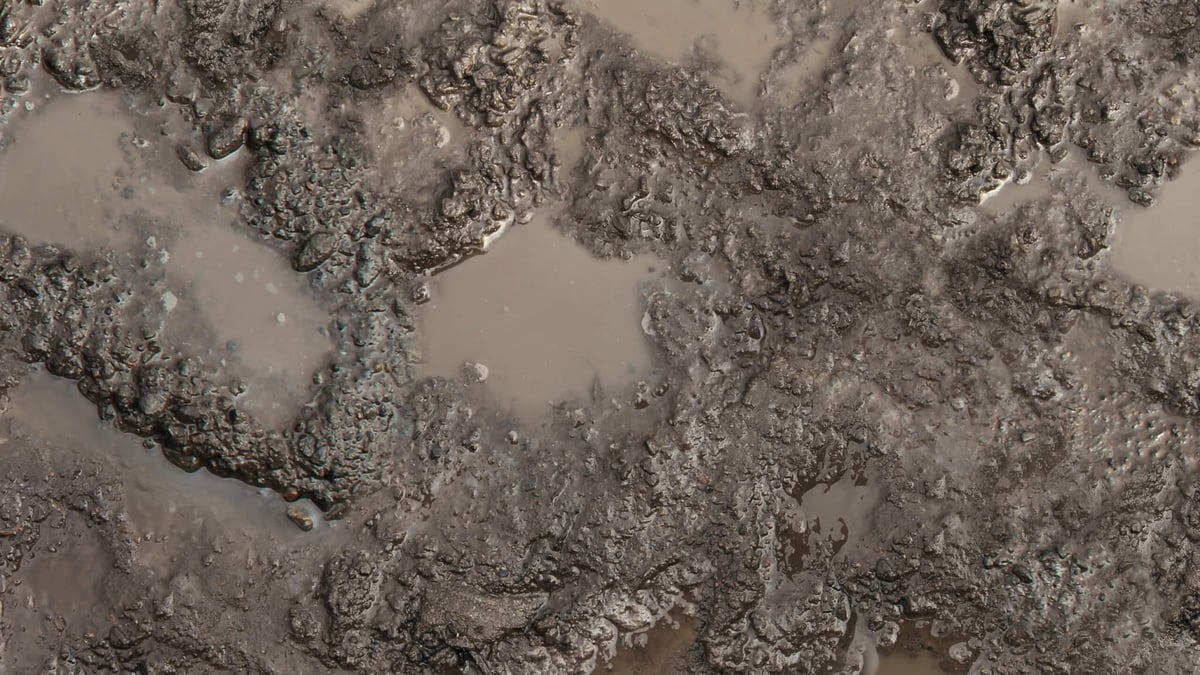 International Mud Day (June 29th) | Days Of The Year