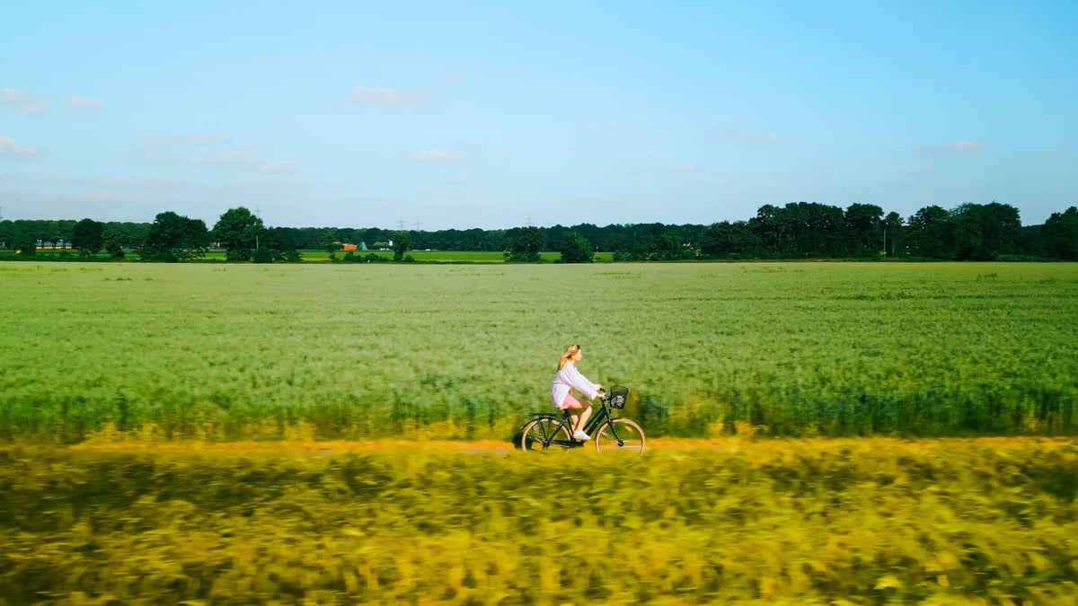 National Green City Day (October 1st) | Days Of The Year