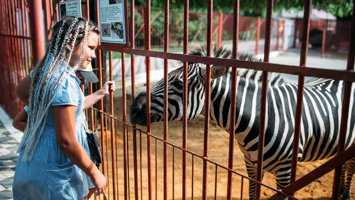 National Zoo Awareness Day (August 31st) | Days Of The Year