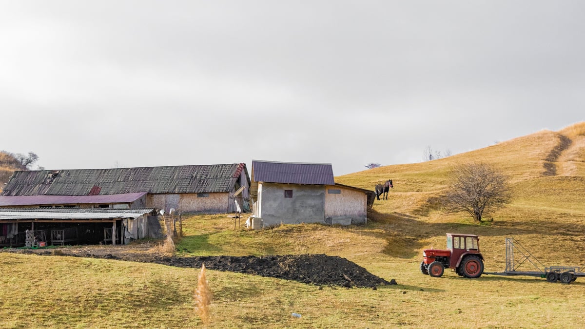 Rural Life Sunday (May 18th, 2025) | Days Of The Year