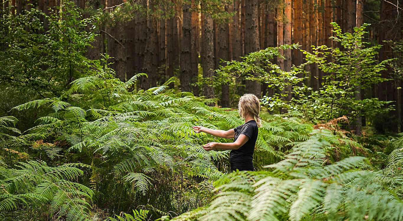 Clean Up Australia Day (March 2nd, 2025) | Days Of The Year