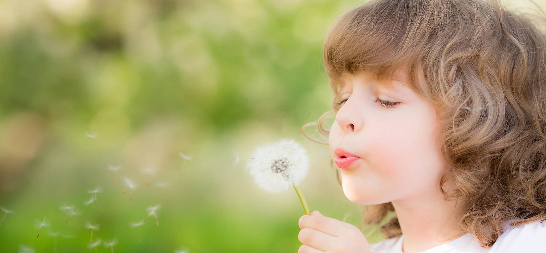 World Wish Day (April 29th) | Days Of The Year