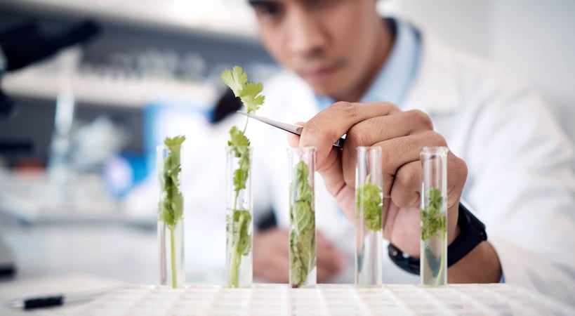 National Email Day (April 23rd) | Days Of The Year