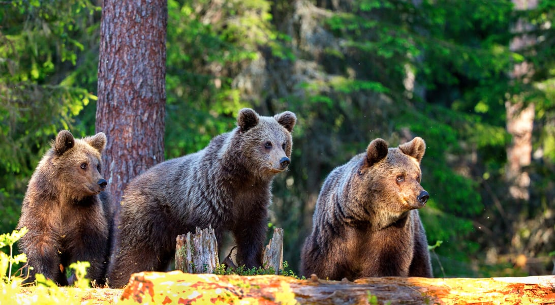 National Holidays in September, 2026 | Days Of The Year