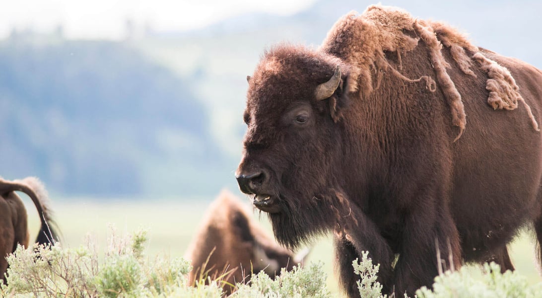 National Holidays on September 2nd, 2026 | Days Of The Year