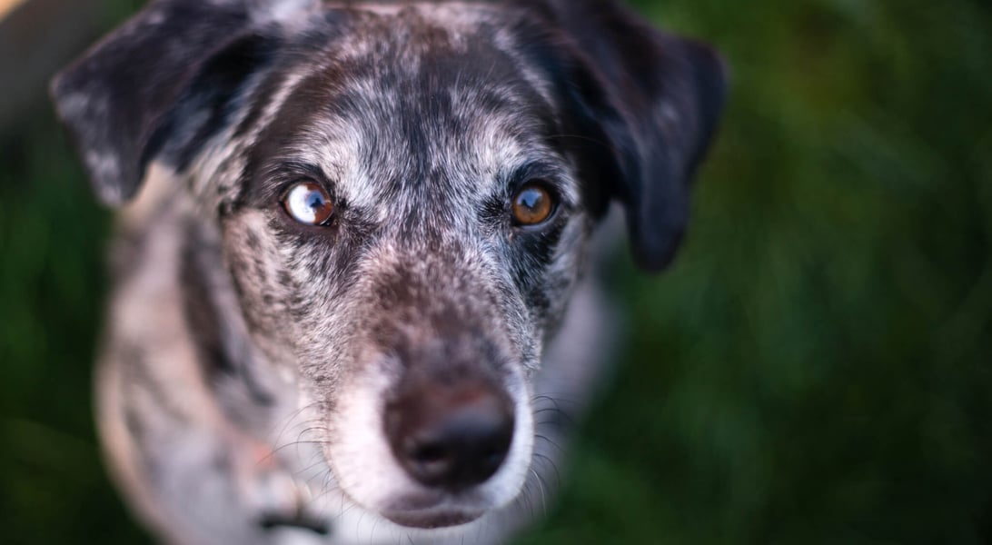 National Holidays on November 7th, 2025 | Days Of The Year