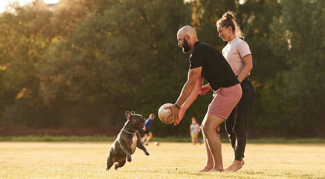 National Holidays on April 20th, 2025 | Days Of The Year