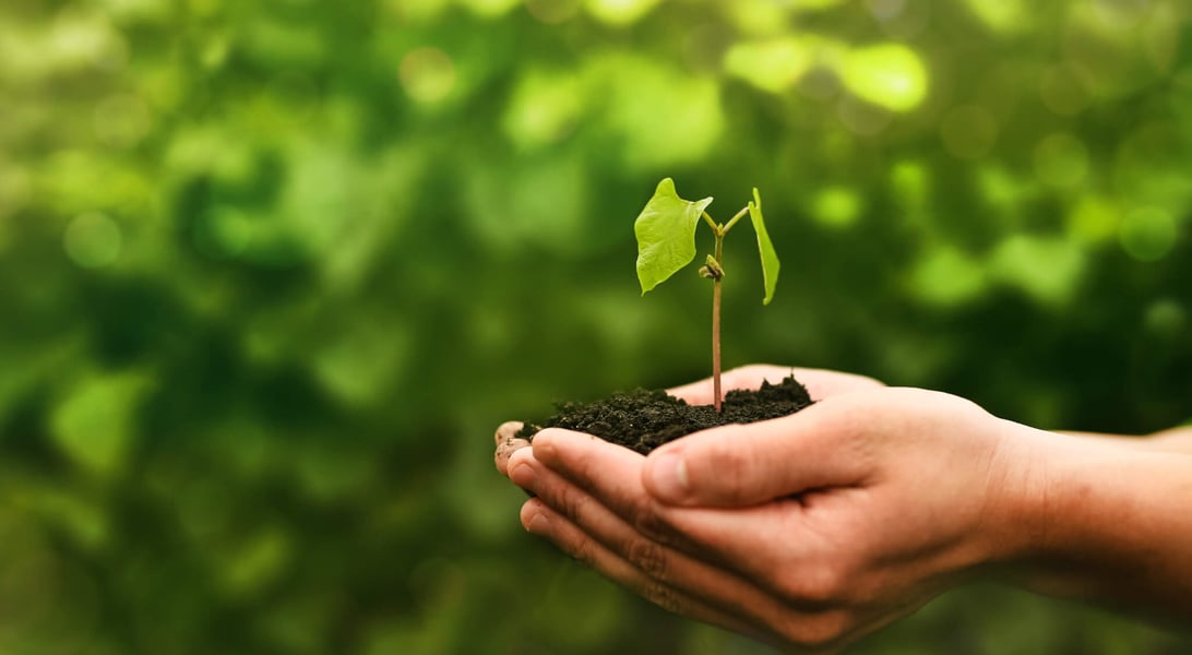 Canadian Environment Week (Jun 7th to Jun 13th) | Days Of The Year