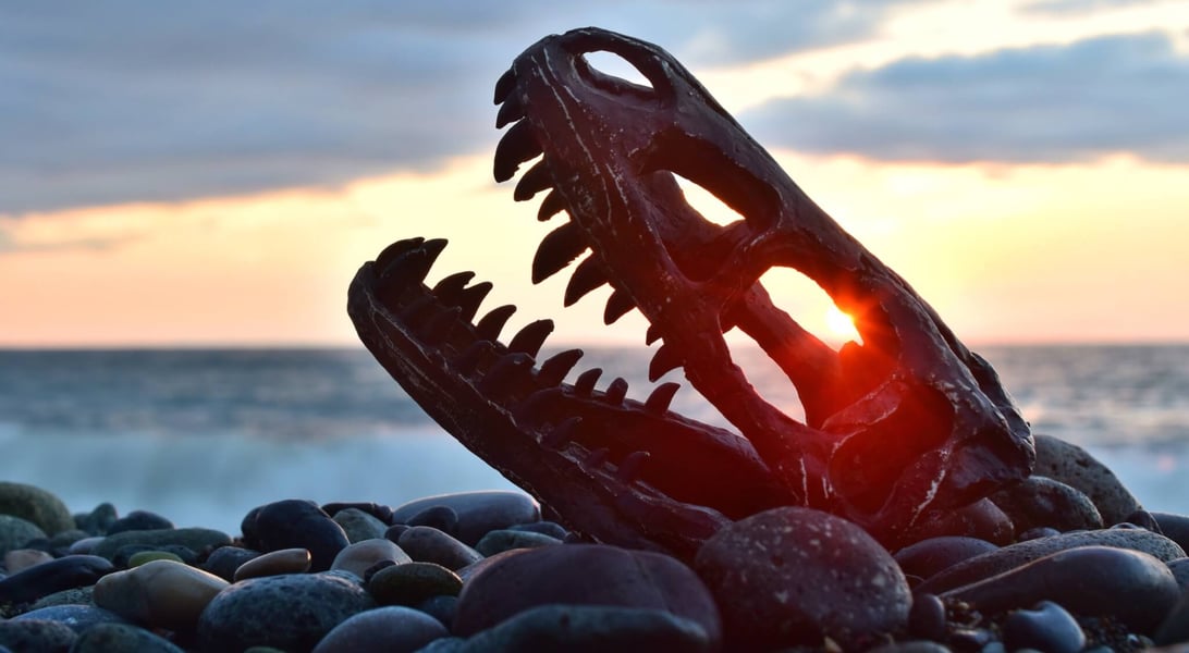 National Lemon Month (June 2026) | Days Of The Year