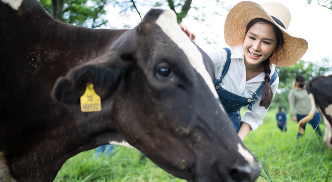 National Holidays on September 27th, 2025 | Days Of The Year