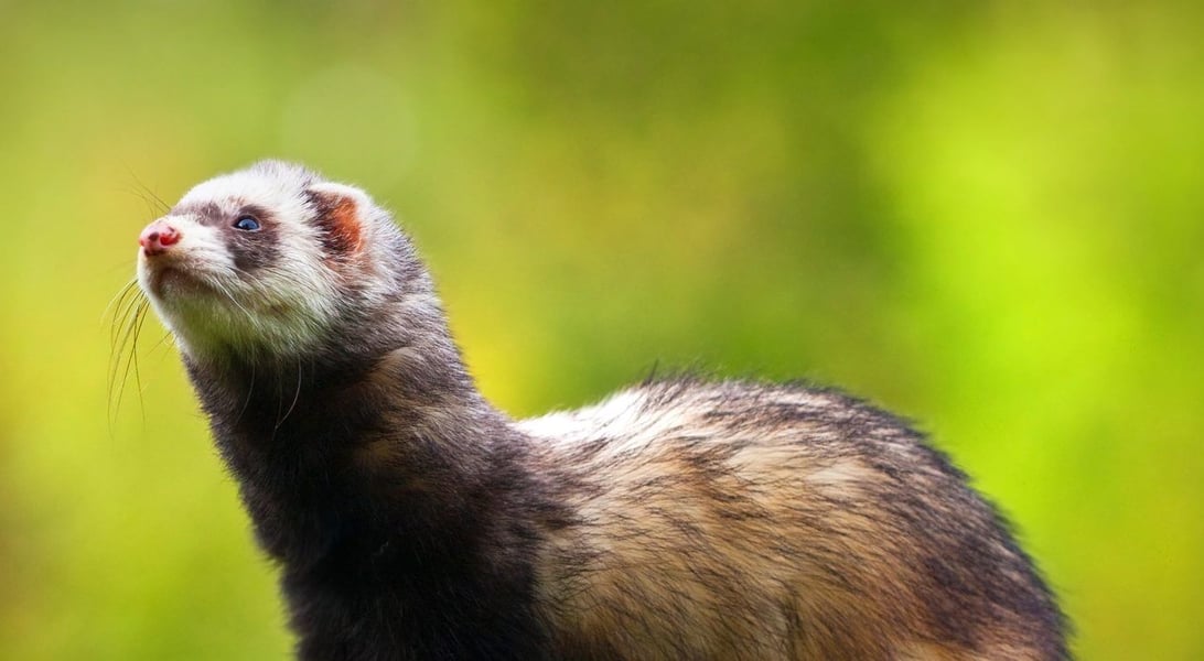 World Autism Awareness Day (April 2nd) | Days Of The Year