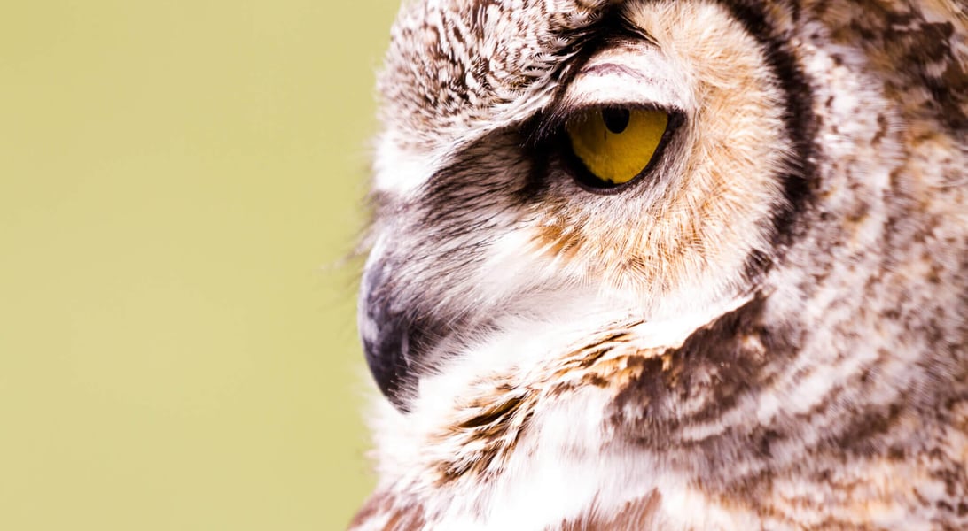 National Holidays on March 7th, 2026 | Days Of The Year