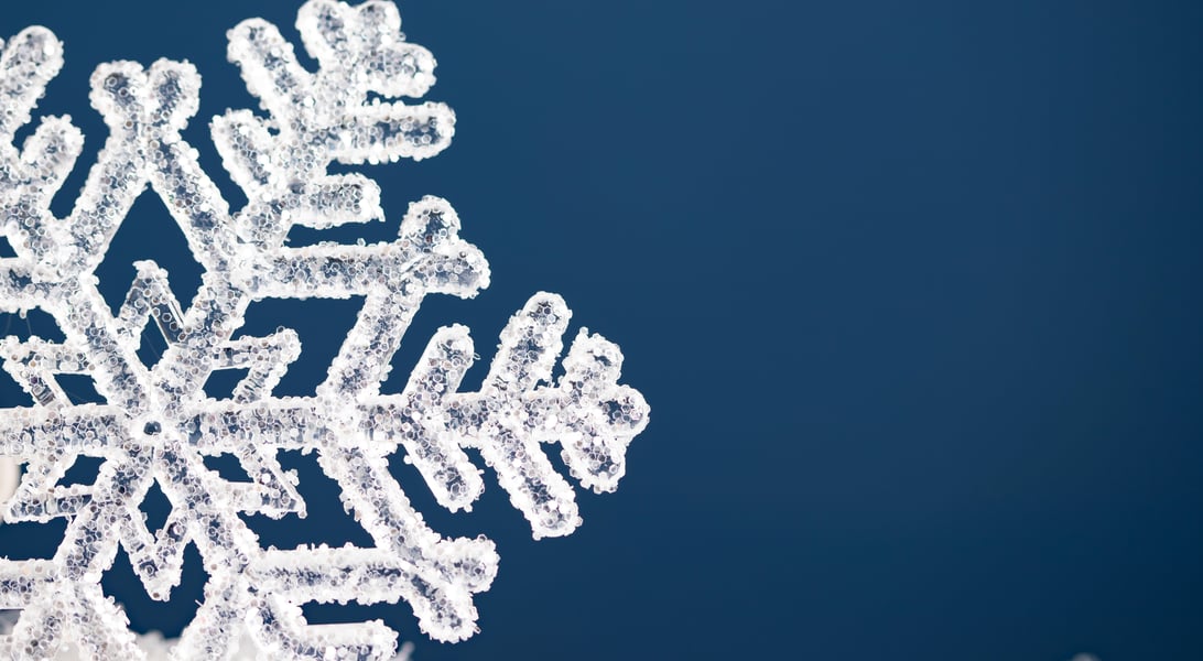 National Twin Day (December 18th) | Days Of The Year