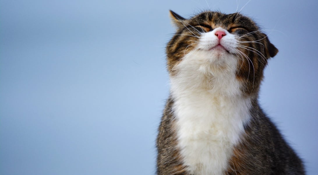 What national day is today (12th Sep, 2025)? | Days Of The Year