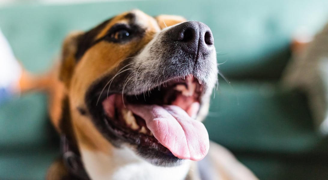 Uncommon Instrument Awareness Day (July 31st) | Days Of The Year