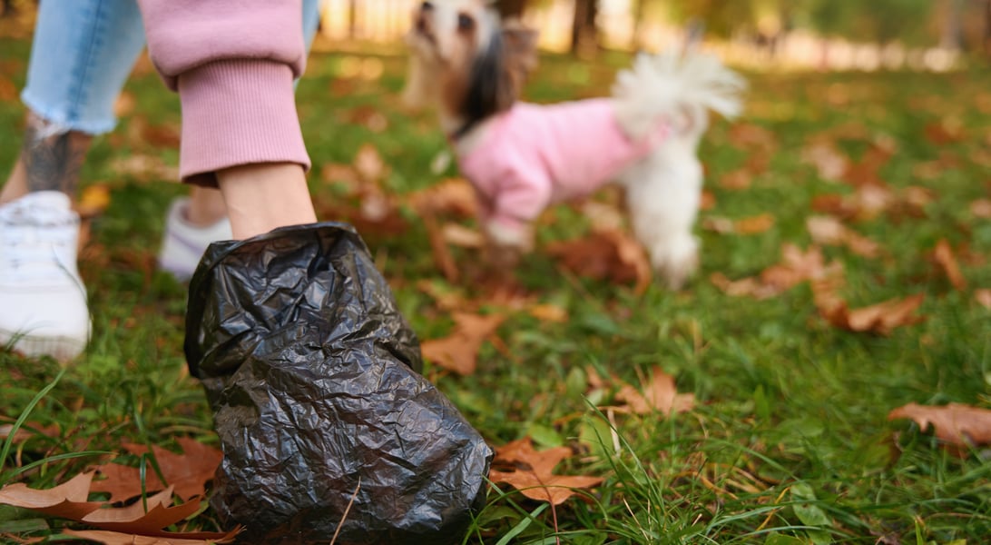 National Holidays on April 5th, 2026 | Days Of The Year