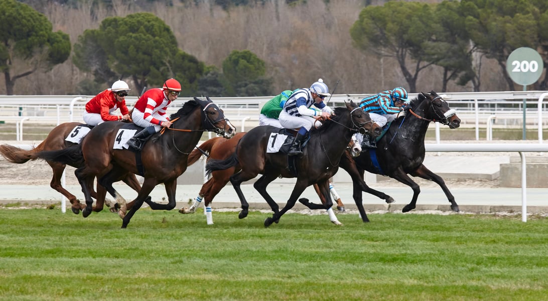National Lumpy Rug Day (May 3rd) | Days Of The Year
