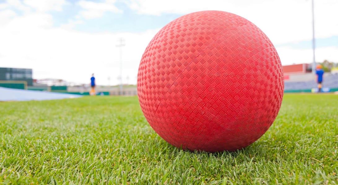 International Bat Appreciation Day (April 17th) | Days Of The Year